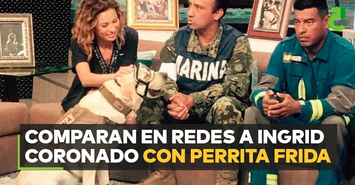 Comparan en redes a Ingrid Coronado con perrita Frida