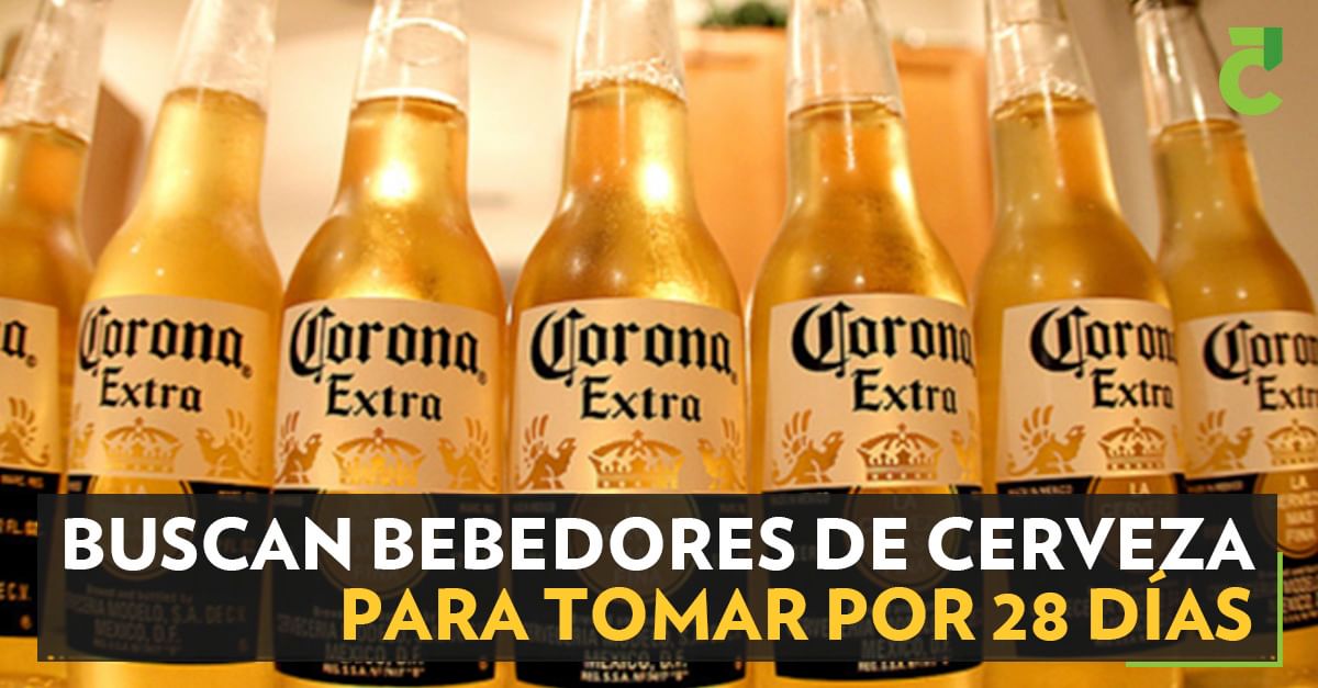 Buscan bebedores de cerveza para tomar por 28 días