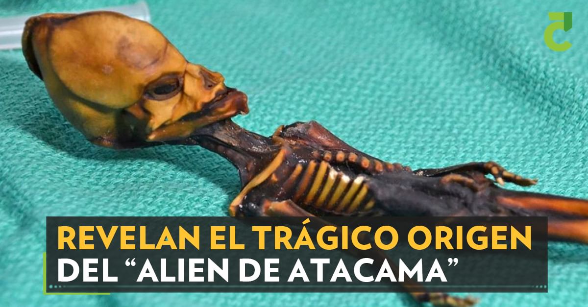 Revelan el trágico origen del “alien de Atacama”