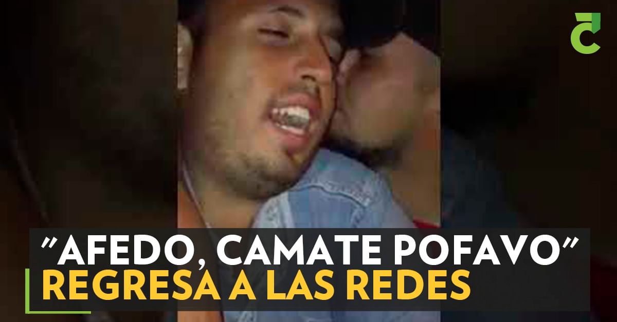 "Afedo, camate pofavo" regresa a las redes