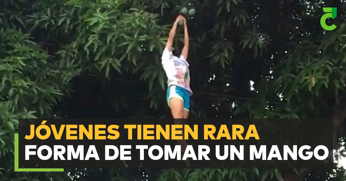 Jóvenes tienen rara forma de tomar un mango