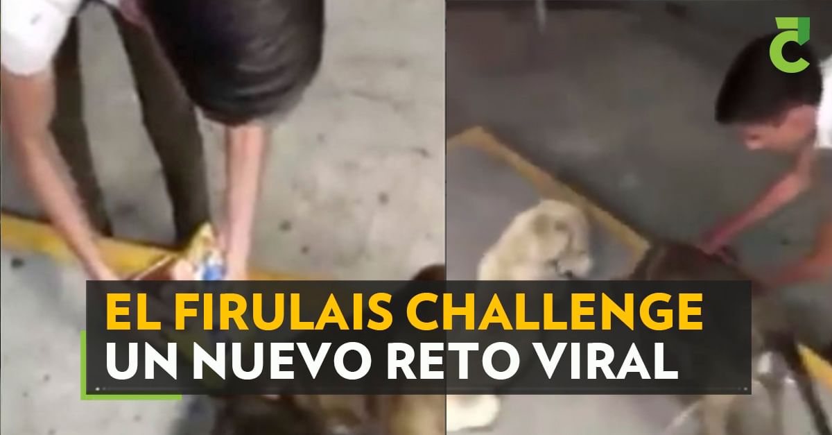 El Firulais Challenge un nuevo reto viral