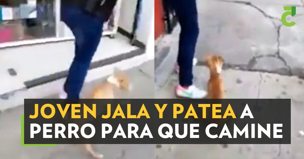 Joven jala y patea a perro para que camine