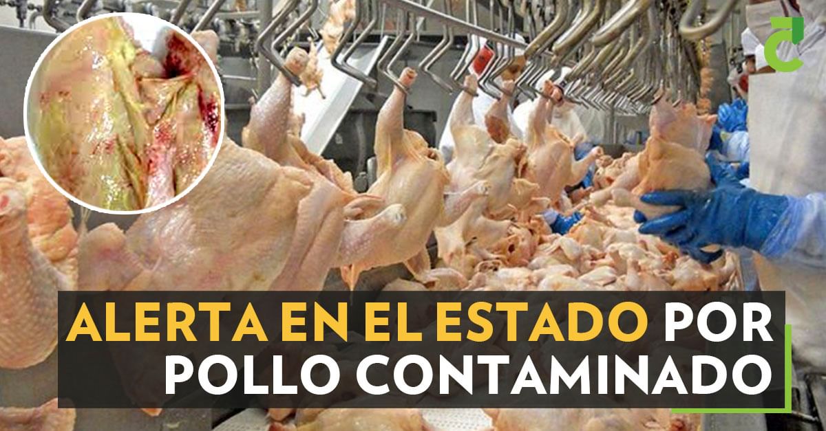 Alerta en el estado por pollo contaminado