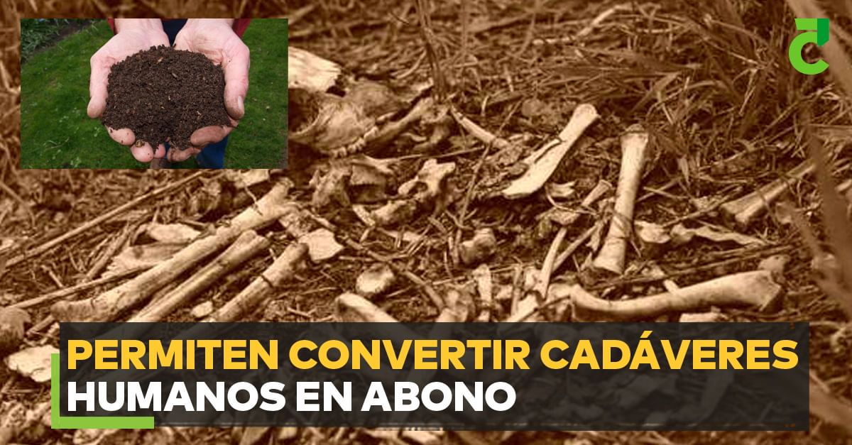Permiten convertir cadáveres humanos en abono