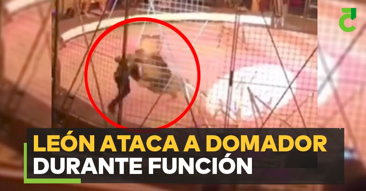 León ataca a domador durante función