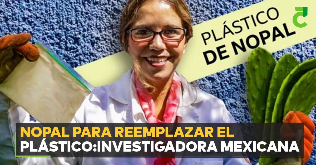 Nopal para reemplazar el plástico: investigadora mexicana