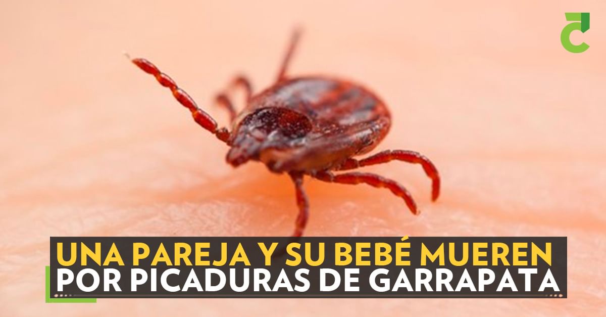 Una pareja y su bebé mueren por picaduras de garrapata