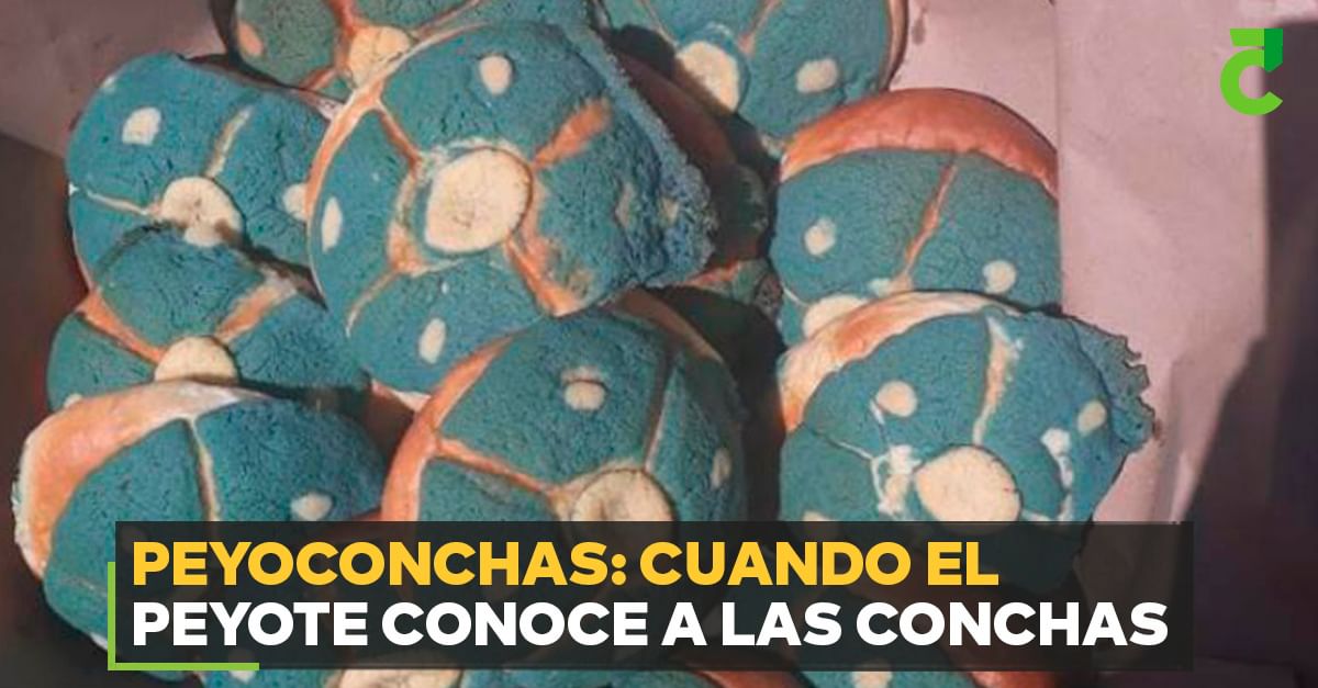 Peyoconchas: Cuando el peyote conoce a las conchas