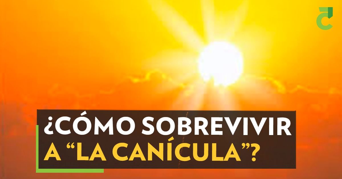 ¿Cómo sobrevivir a “La Canícula”?