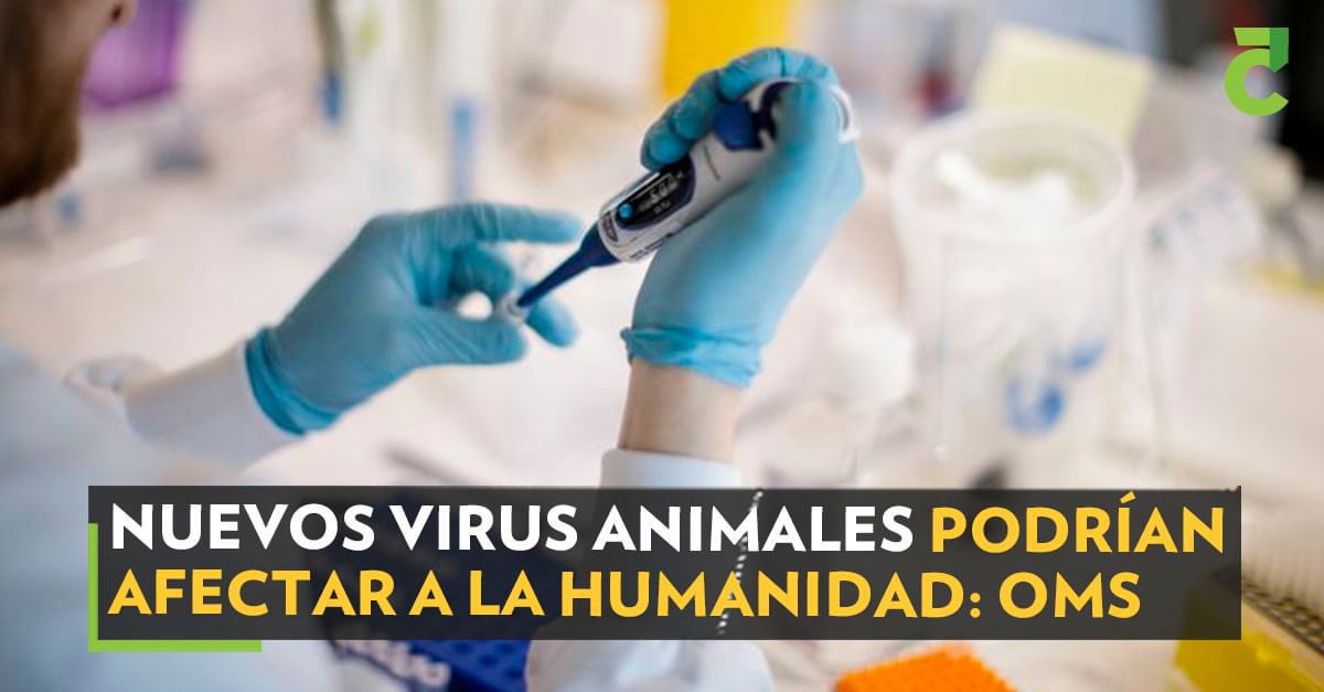 Nuevos virus animales podrían afectar a la humanidad: OMS