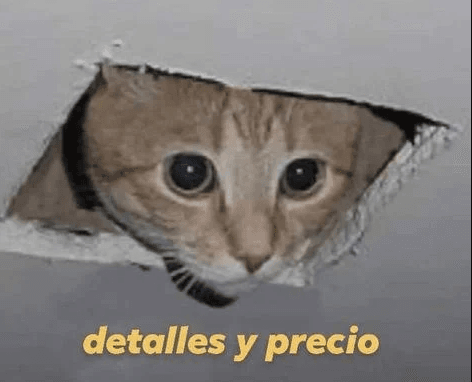 Las mejores frases para identificar a una neni