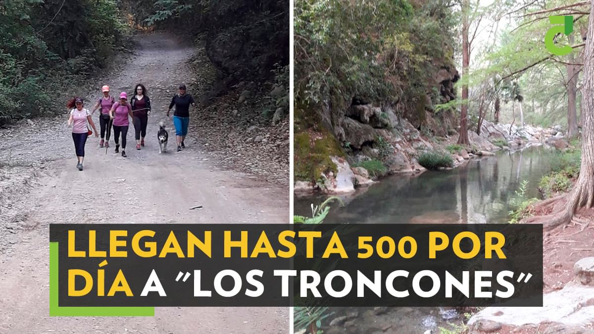 Llegan hasta 500 por día a "Los Troncones"