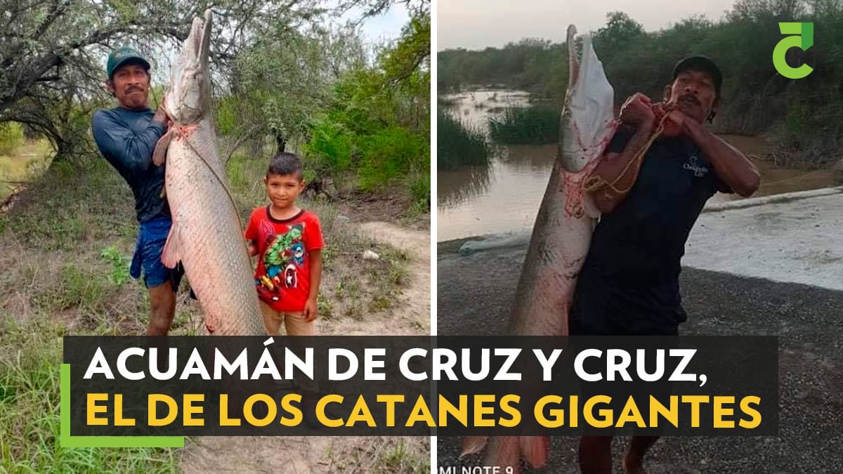 Conoce al pescador de Cruz y Cruz, el de los catanes gigantes