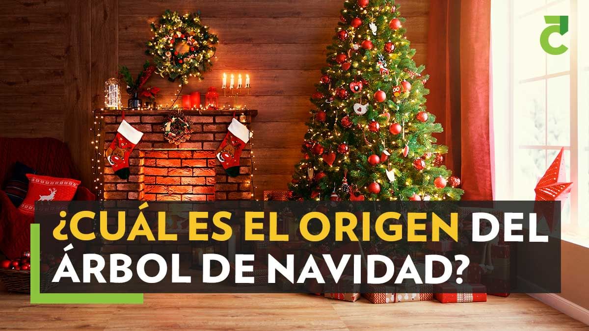 Árbol de Navidad: ¿Cuál es su origen y cuándo se debe poner?