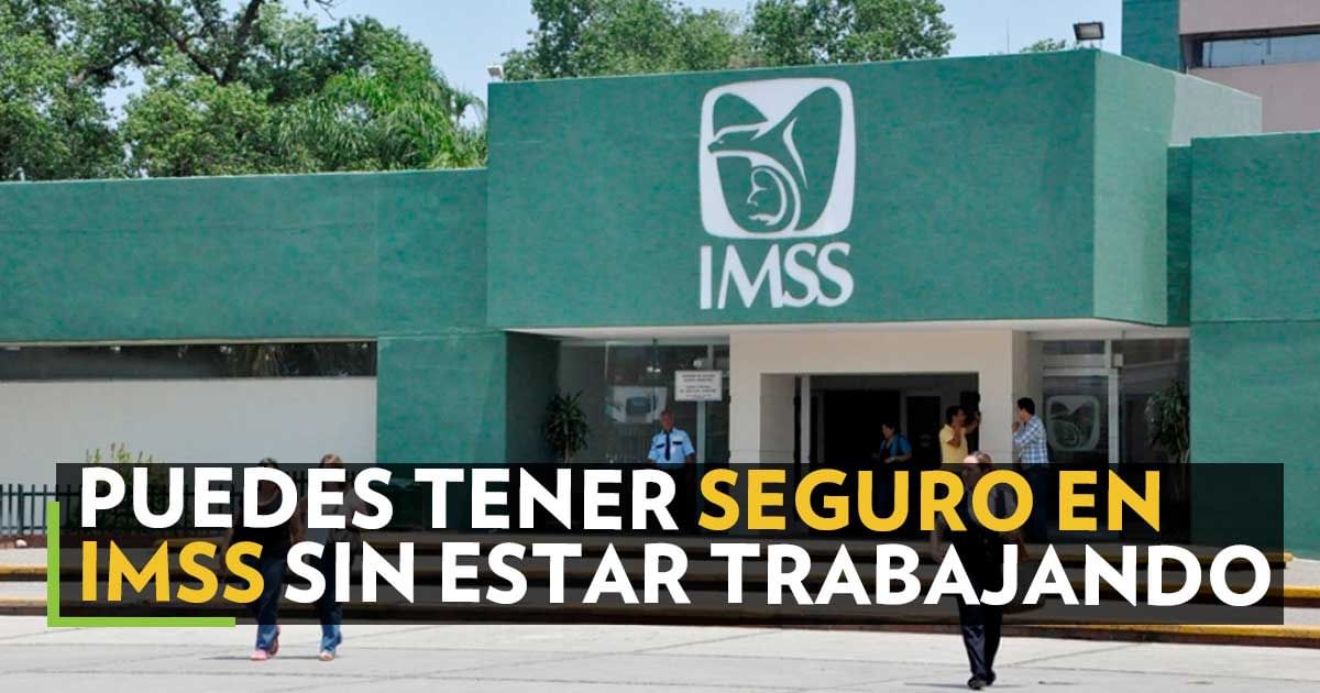 Puedes tener seguro en IMSS sin estar trabajando con el Seguro Voluntario