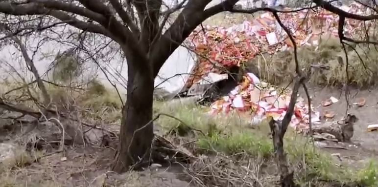 Traílero muere aplastado por toneladas de mango