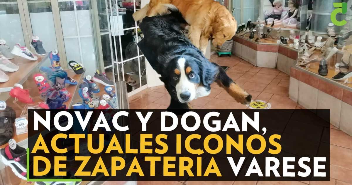 Novac y Dogan, actuales iconos de Zapatería Varese
