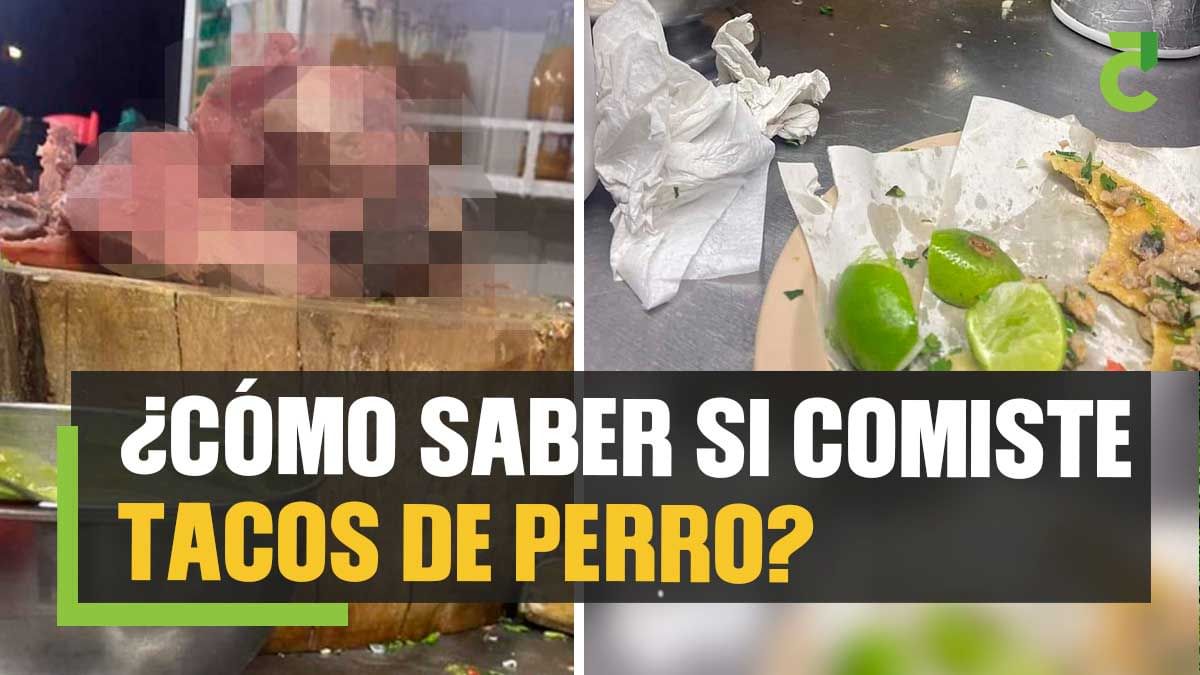 ¿Cómo saber si comiste tacos hechos con perro?