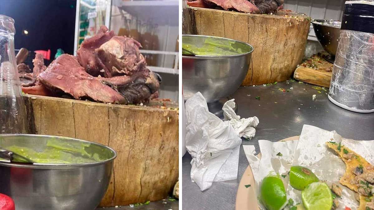 ¿Cómo saber si comiste tacos hechos con perro?