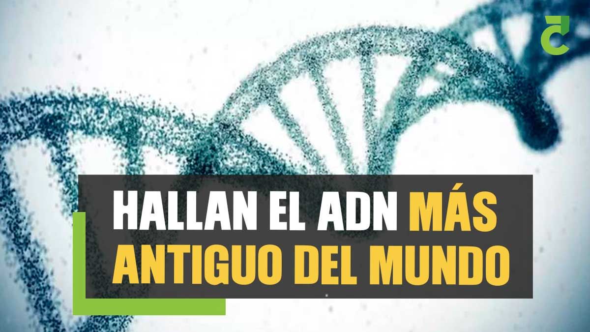 Hallan el ADN más antiguo del mundo; tiene 2 millones de años