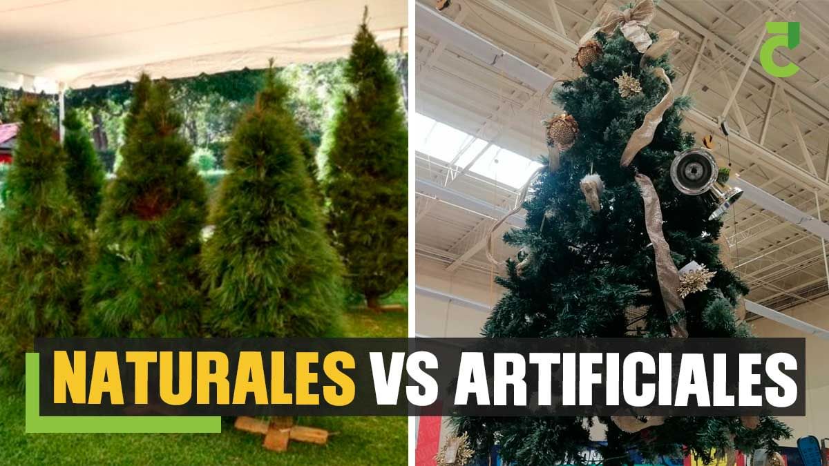 Naturales Vs Artificiales