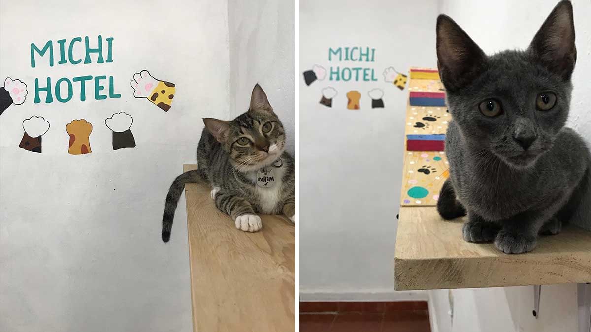 El Michi Hotel abrió sus puertas en Tampico, Tamaulipas