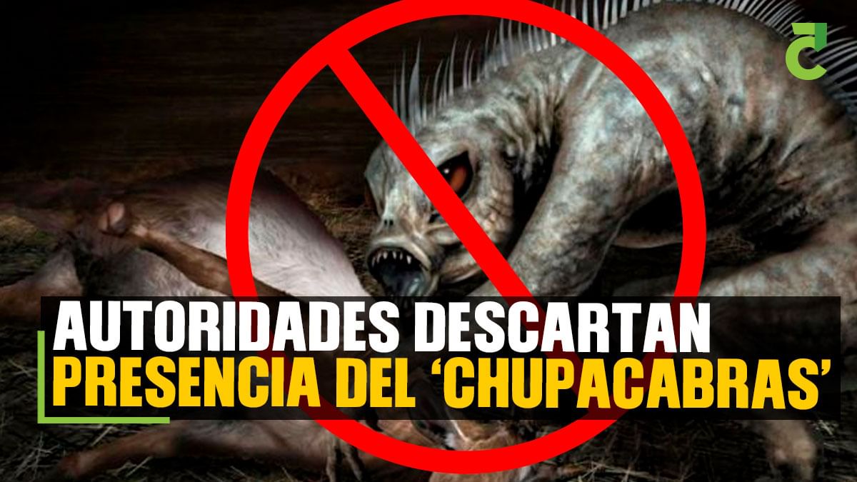 Autoridades descartaron una extraña criatura, pero investigarán qué fue lo que en realidad sucedió.