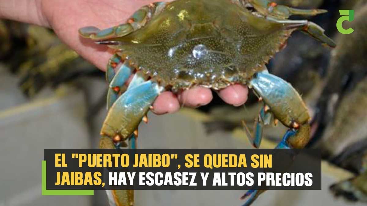 Escasez de jaibas en Tampico, eleva los precios