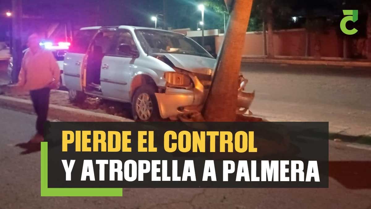 Conductor pierde el control, se trepa al camellón y choca contra palmera, en Ciudad Victoria