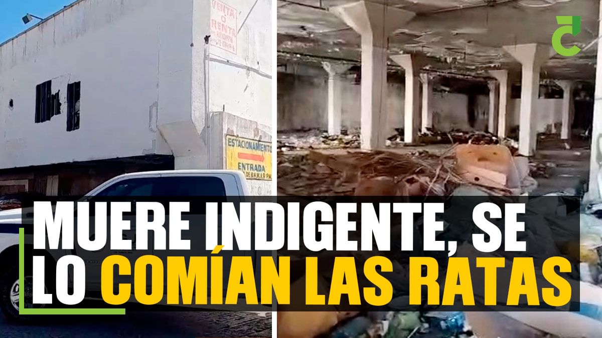 Muere indigente, se lo comían las ratas