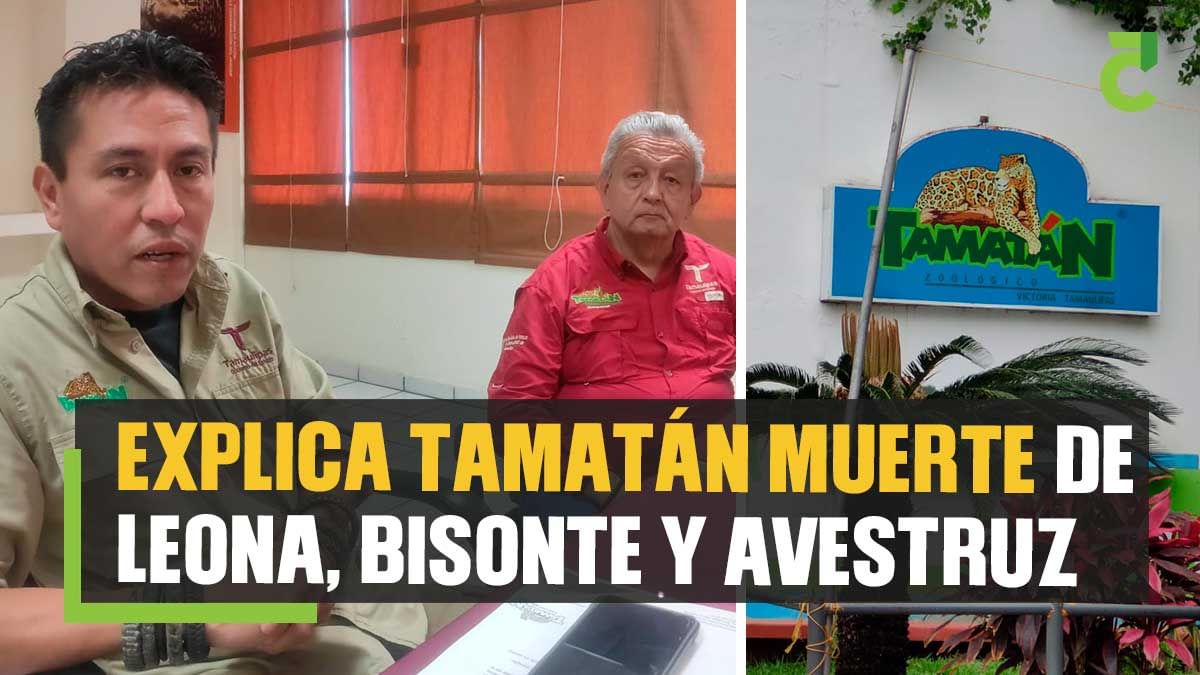 Explica Tamatán muerte de leona, bisonte y avestruz
