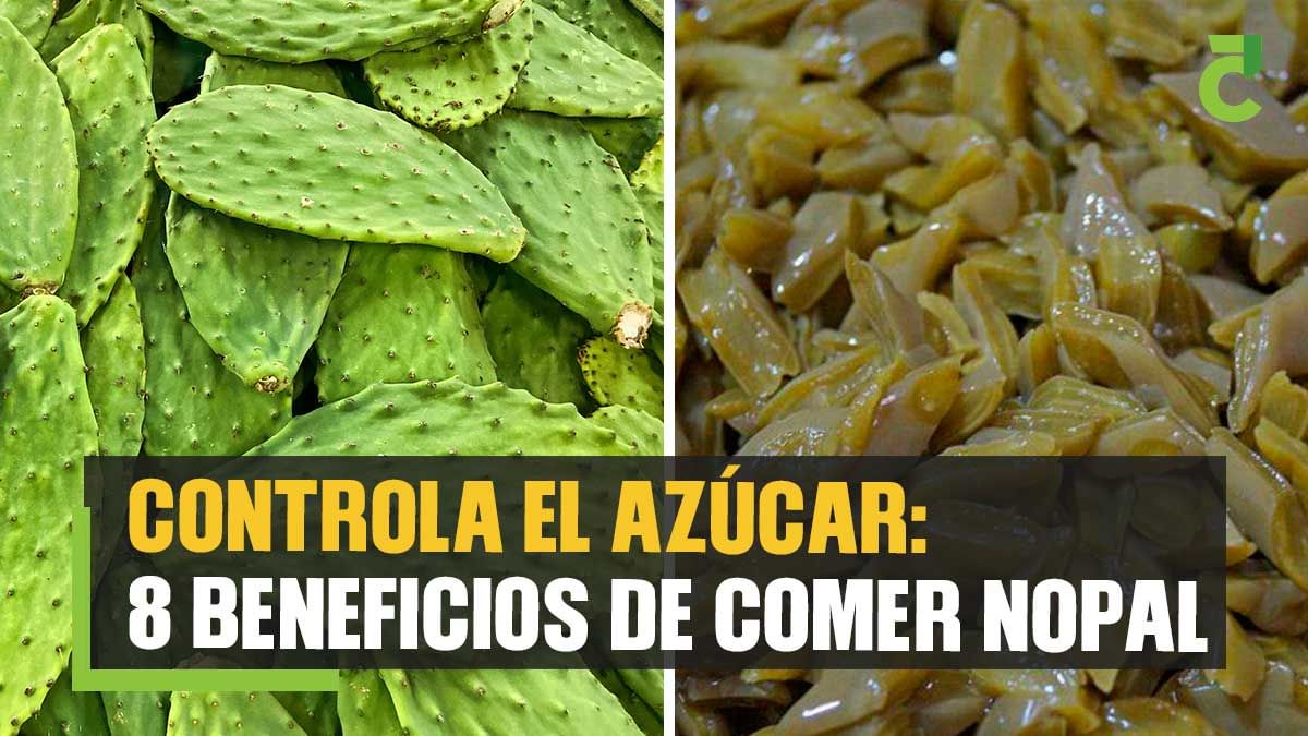 8 beneficios de comer nopal diario