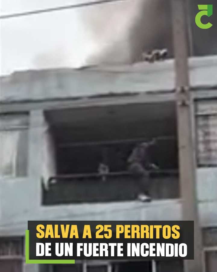 Salva A 25 Perritos De Un Fuerte Incendio