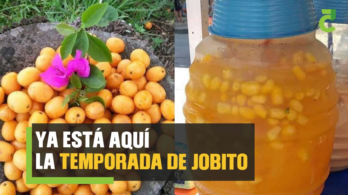 Inicia la cosecha de jobito, con pedidos hasta en Texas