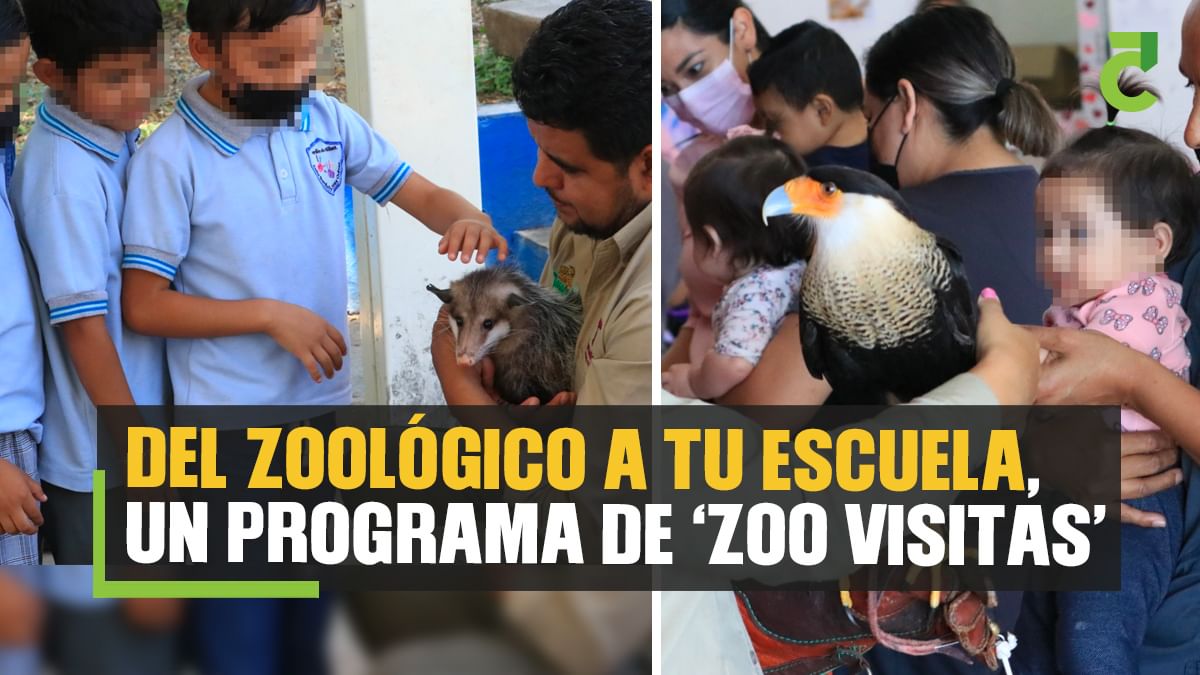 Del zoológico a tu escuela, un programa de “Zoo Visitas”