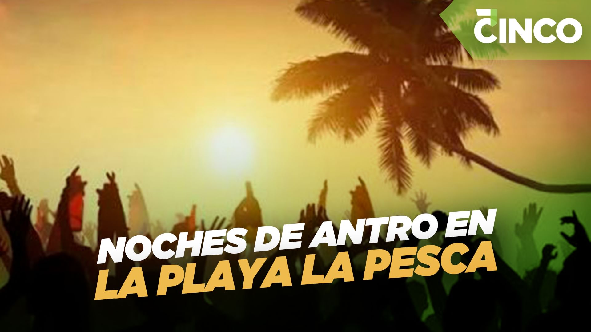 Noches de antro en la playa La Pesca