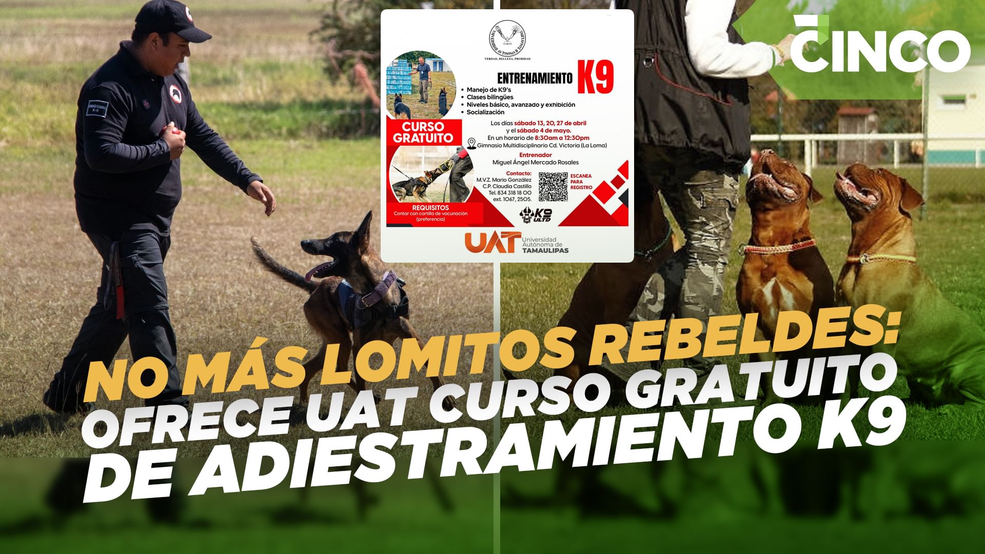 No más lomitos rebeldes: ofrece UAT curso gratuito de adiestramiento K9