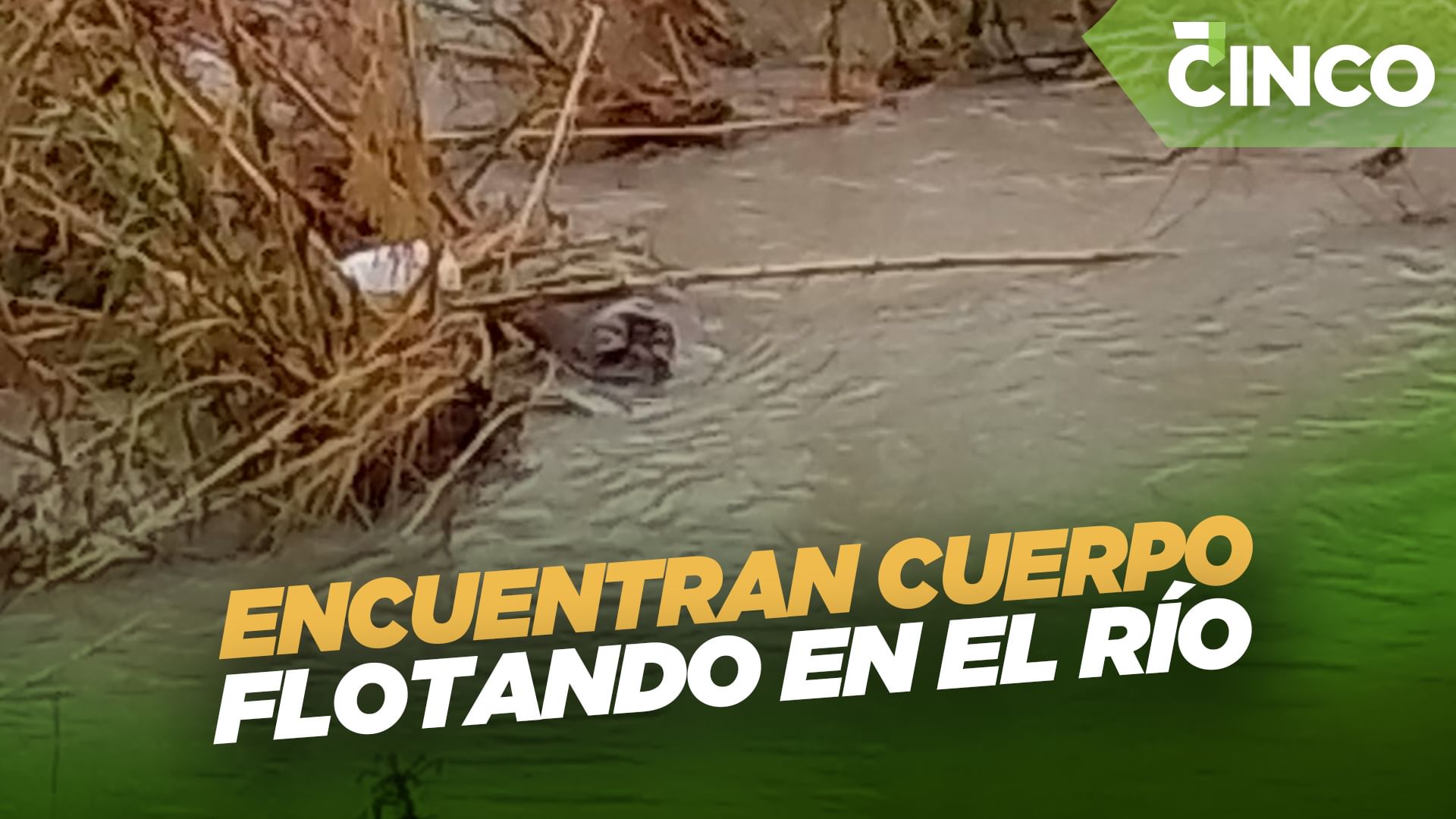 Encuentran cuerpo flotando en el río