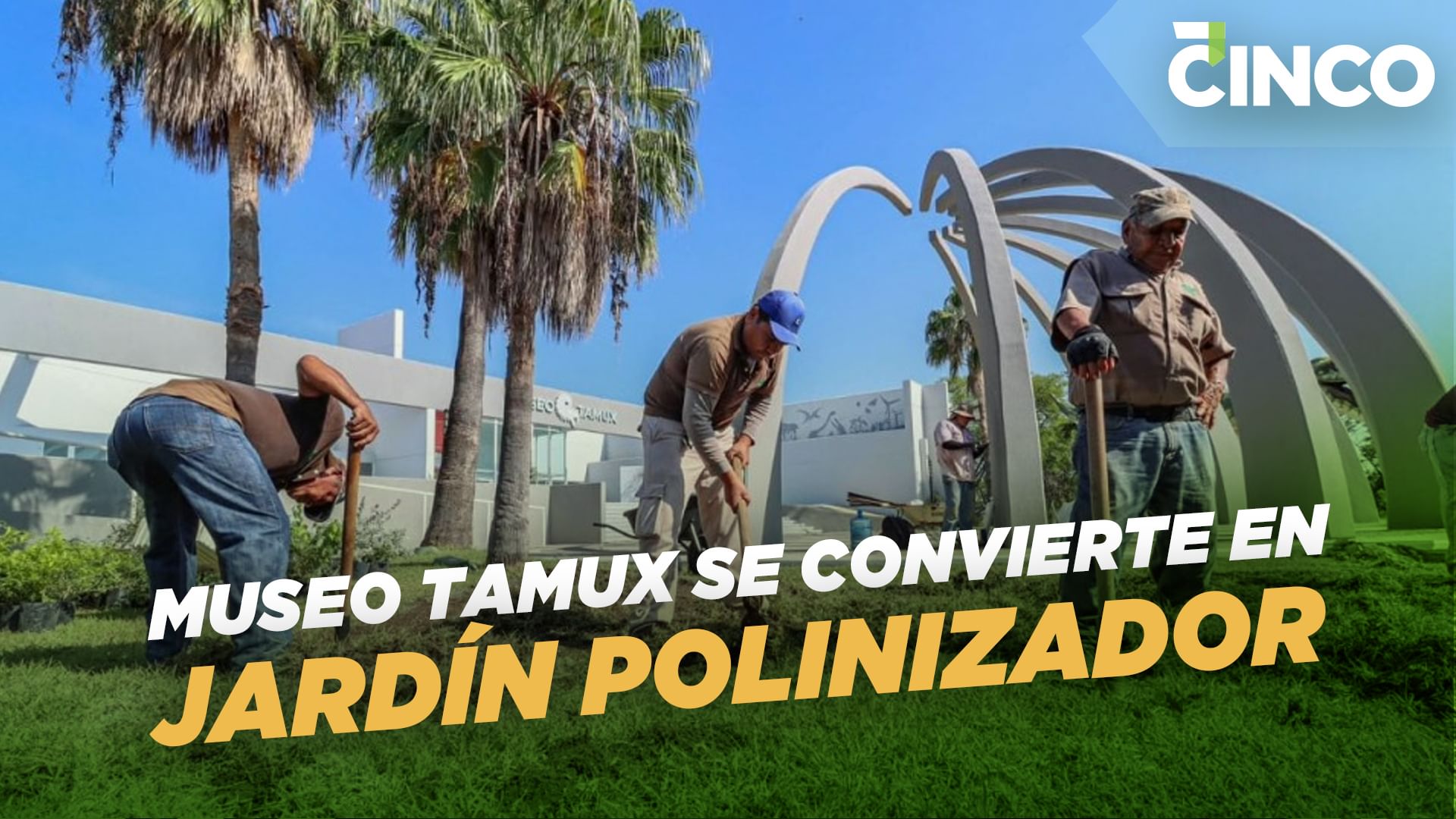 Museo Tamux se convierte en jardín polinizador
