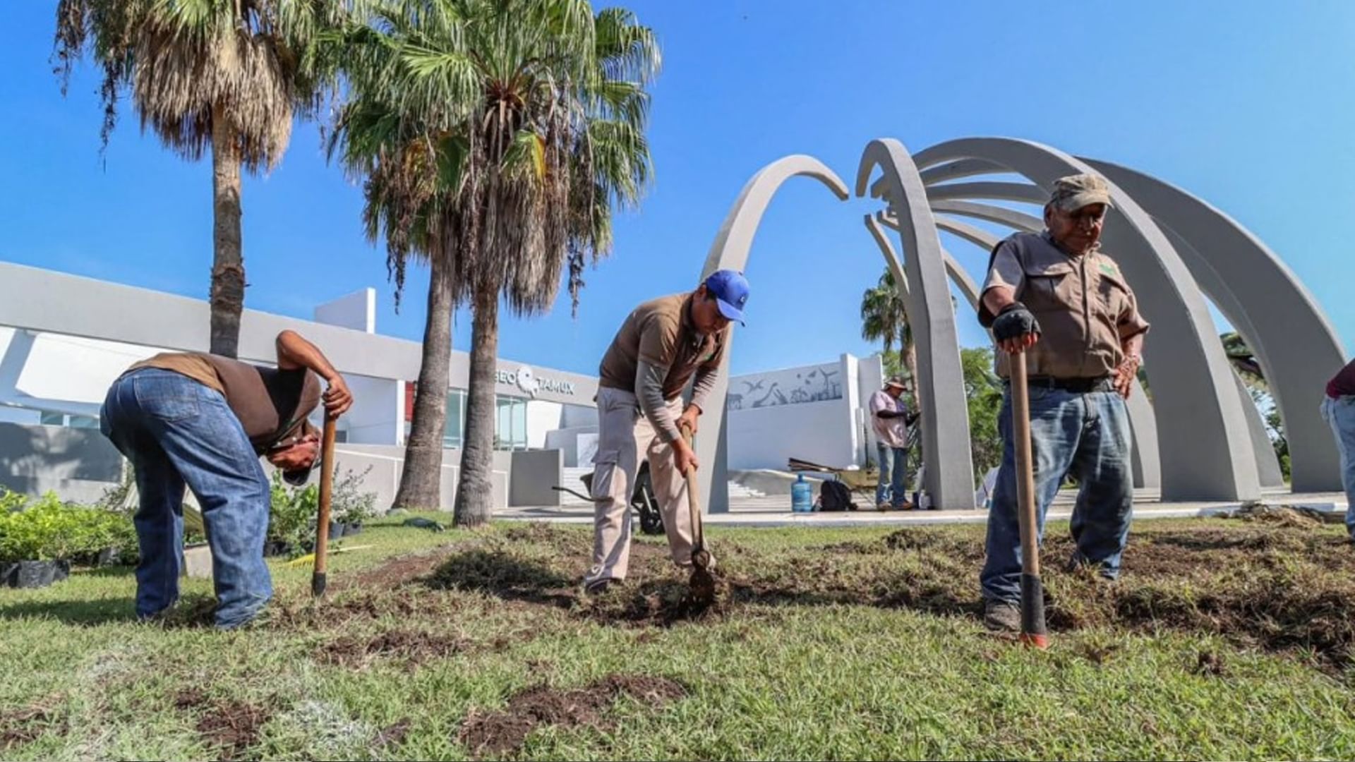 Museo Tamux se convierte en jardín polinizador