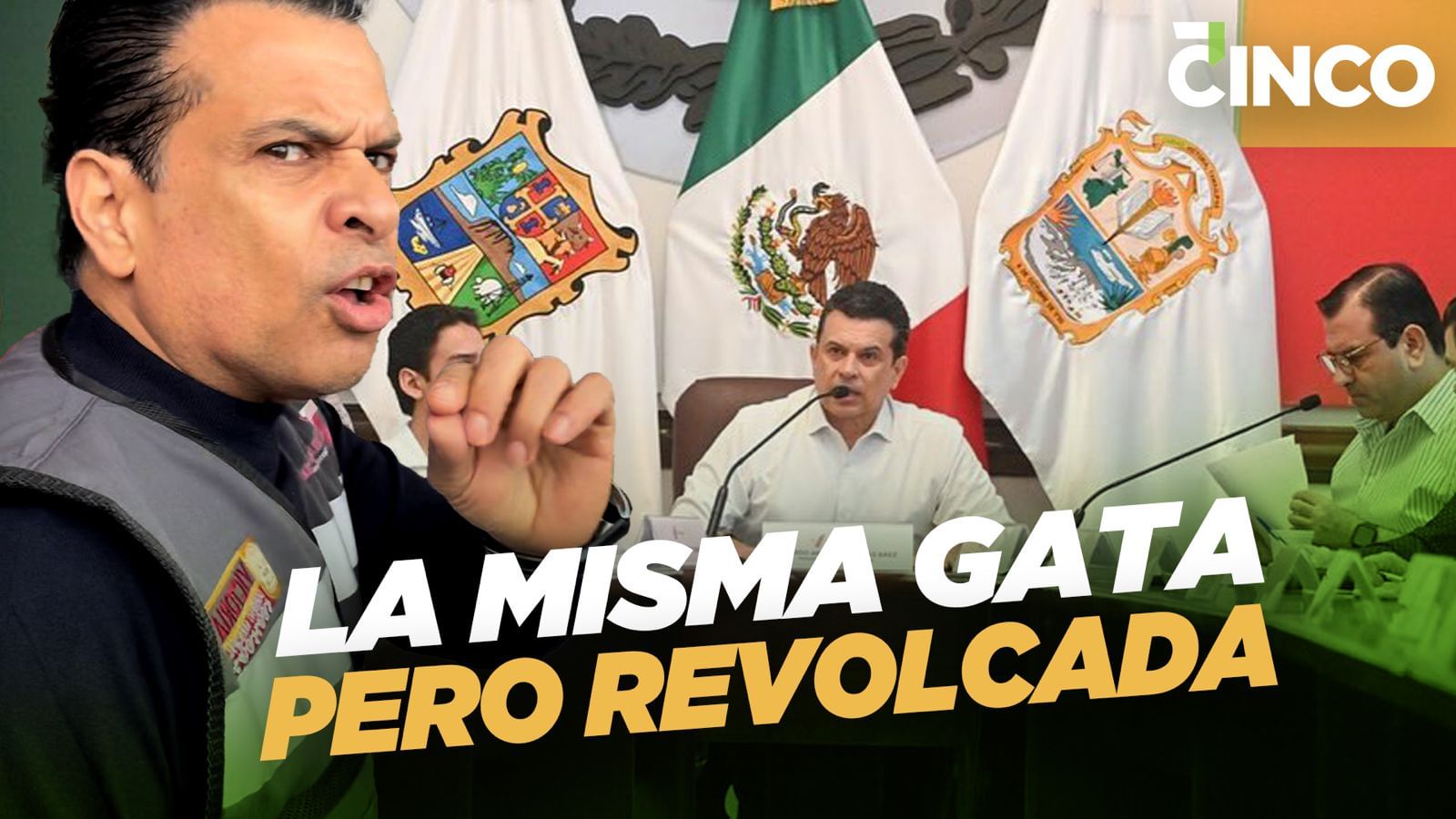 La misma gata pero revolcada