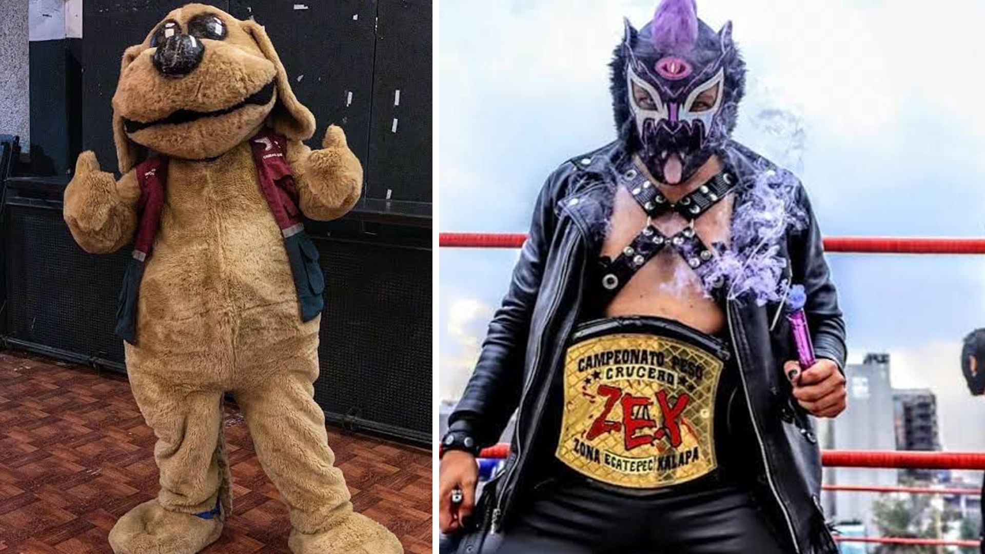 El Perro Wisin y Shere Khan lucharán en la Koliseo de Victoria