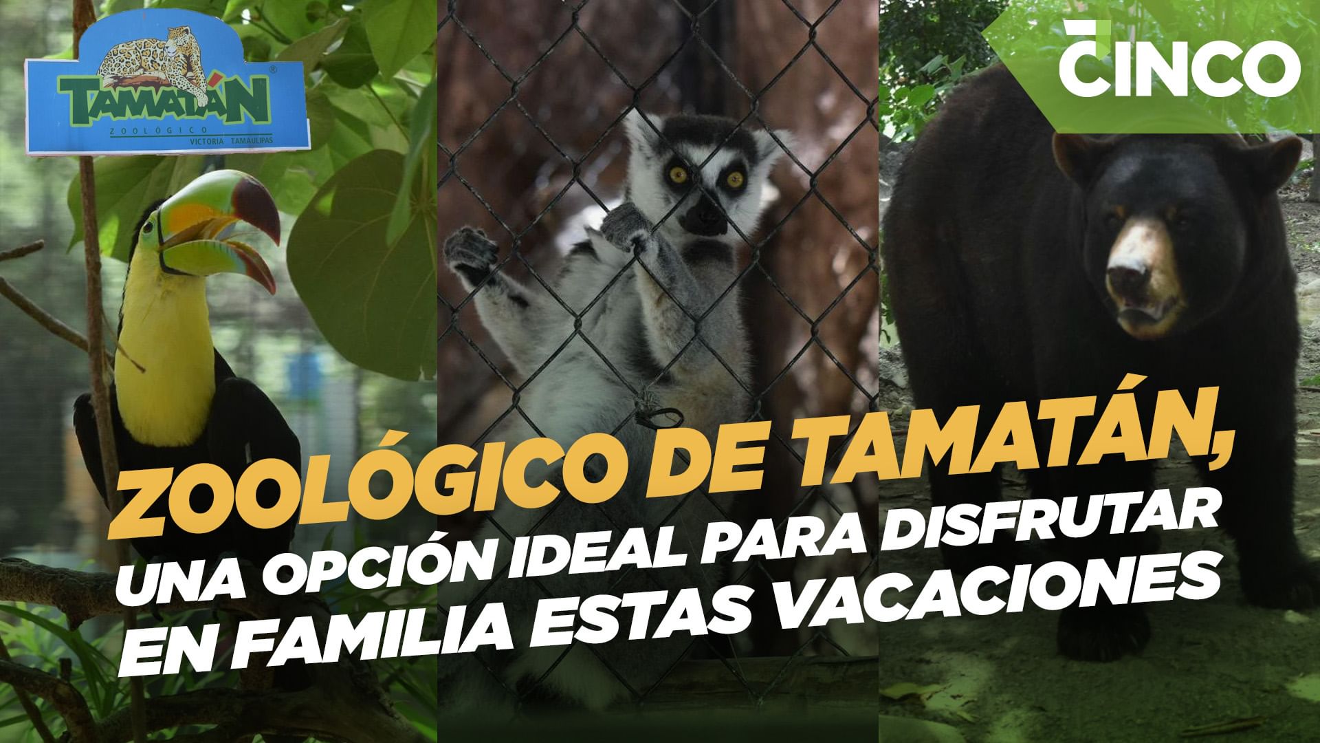 Zoológico de Tamatán, una opción ideal para disfrutar en familia estas ...