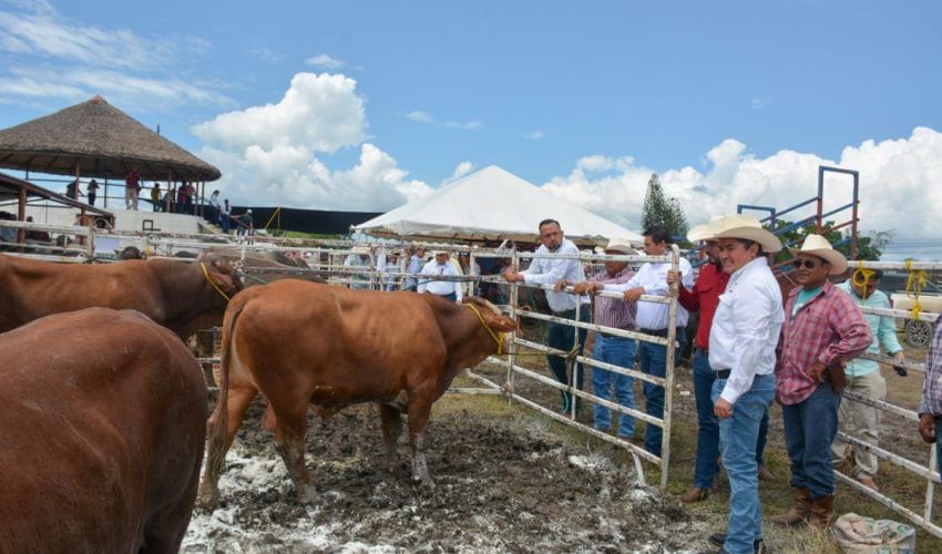 Reitera Gobierno del Estado su compromiso con el sector ganadero