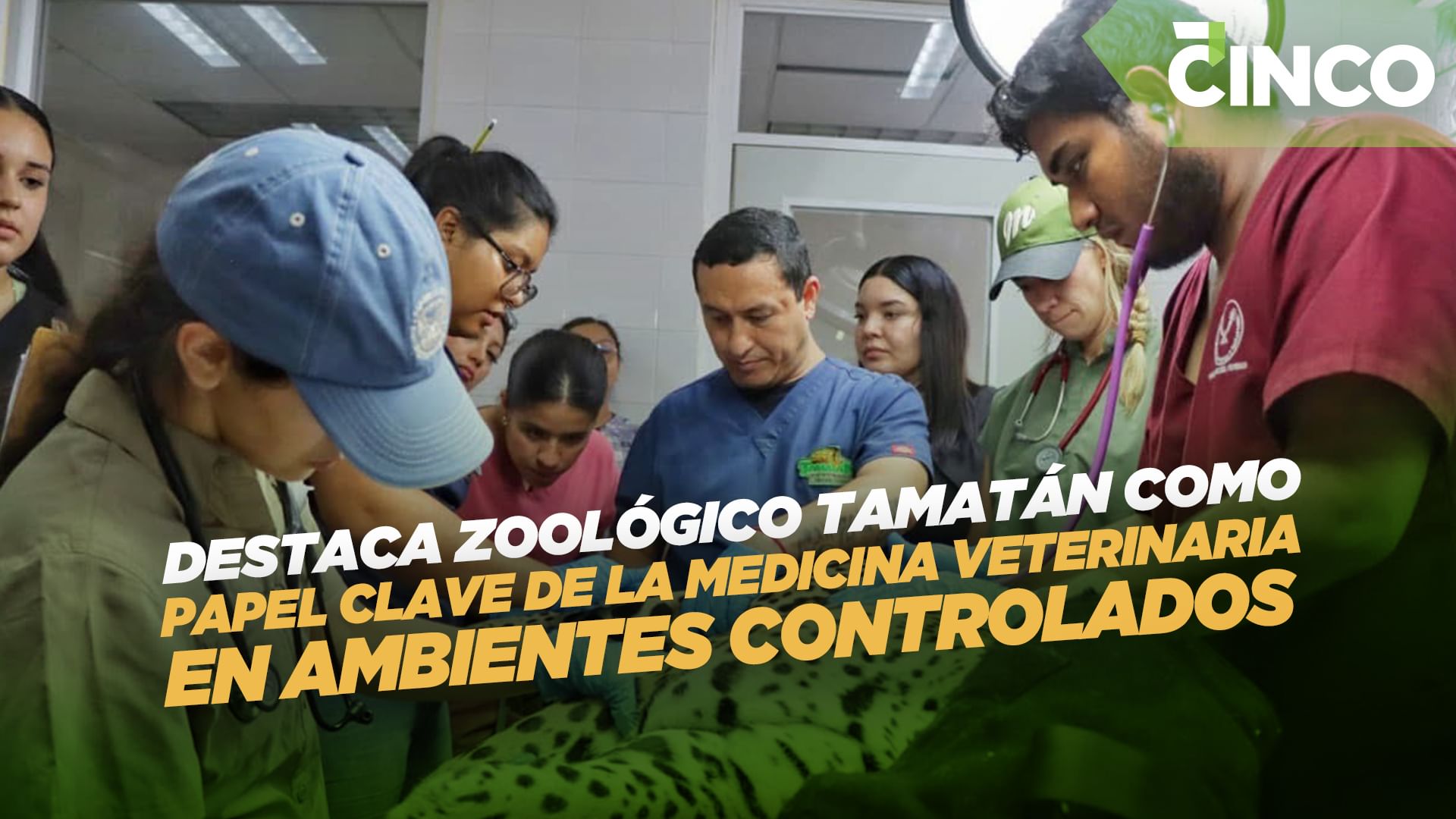 Destaca Zoológico Tamatán como papel clave de la medicina veterinaria ...