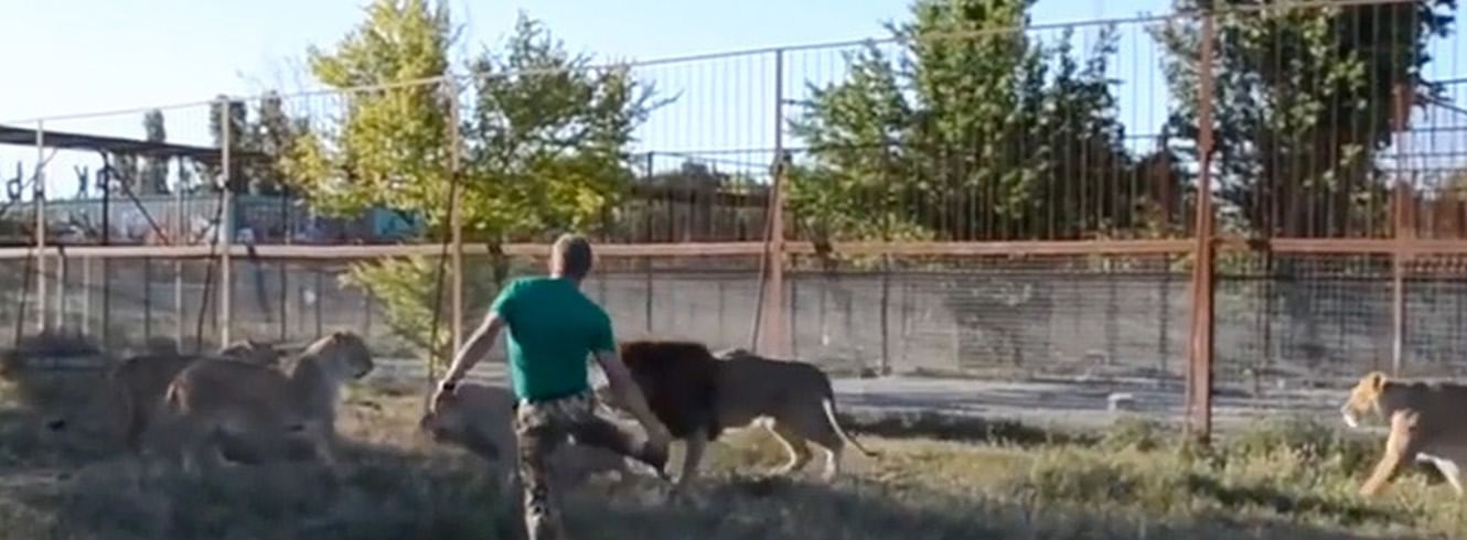 ¡Lo hace de nuevo! el poder de la chancla