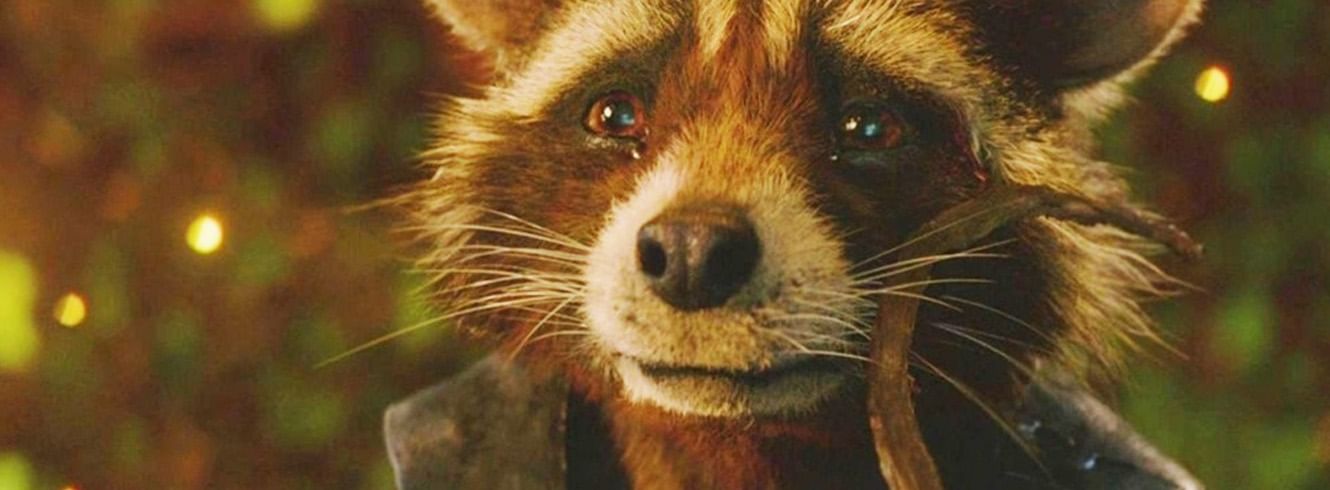 Muere Oreo, el mapache que dio vida a Rocket