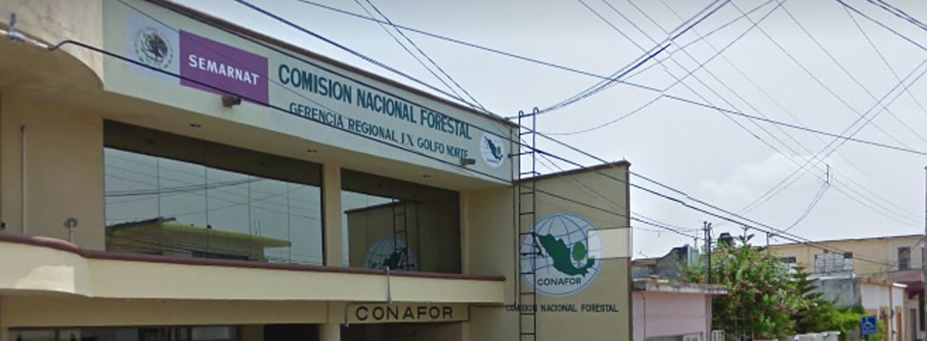 Recortes alcanzan a Conafor