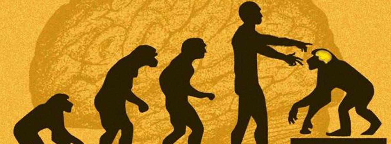 Implantan genes humanos a monos y se volvieron mas listos